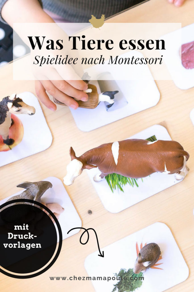 Druckvorlagen: Was Tiere fressen | Chez Mama Poule