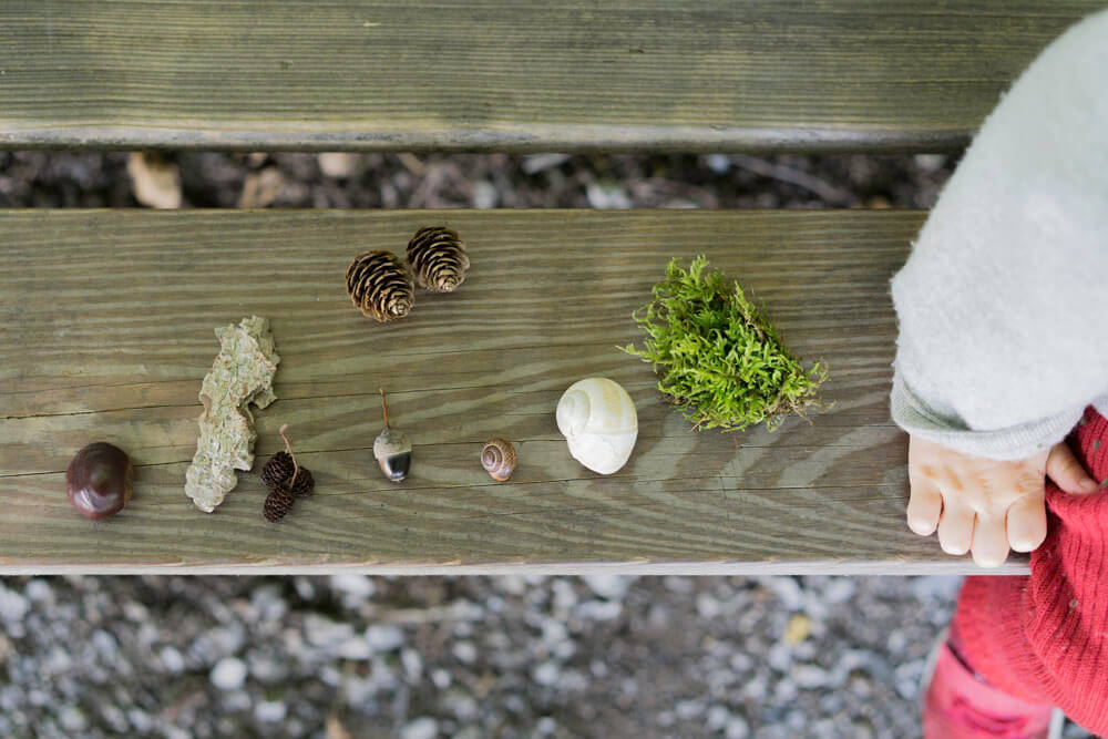 Ideen für den Wald mit Kindern: Sieben Ideen für Kinder und Umwelt