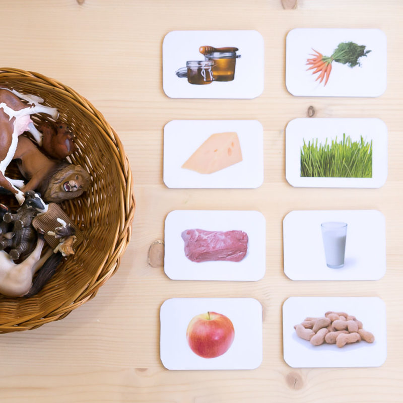 Druckvorlagen: Was Tiere fressen | Chez Mama Poule