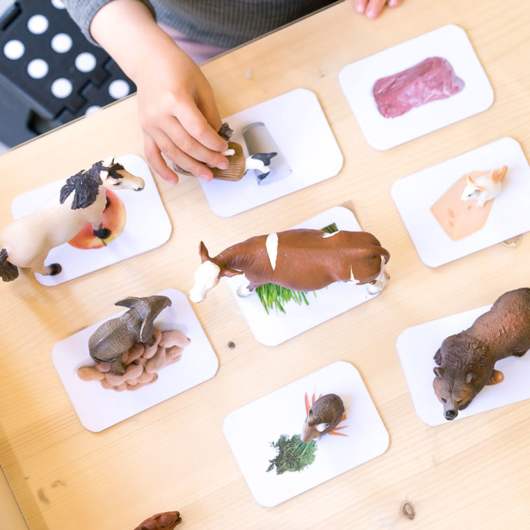 Druckvorlagen: Was Tiere fressen | Chez Mama Poule